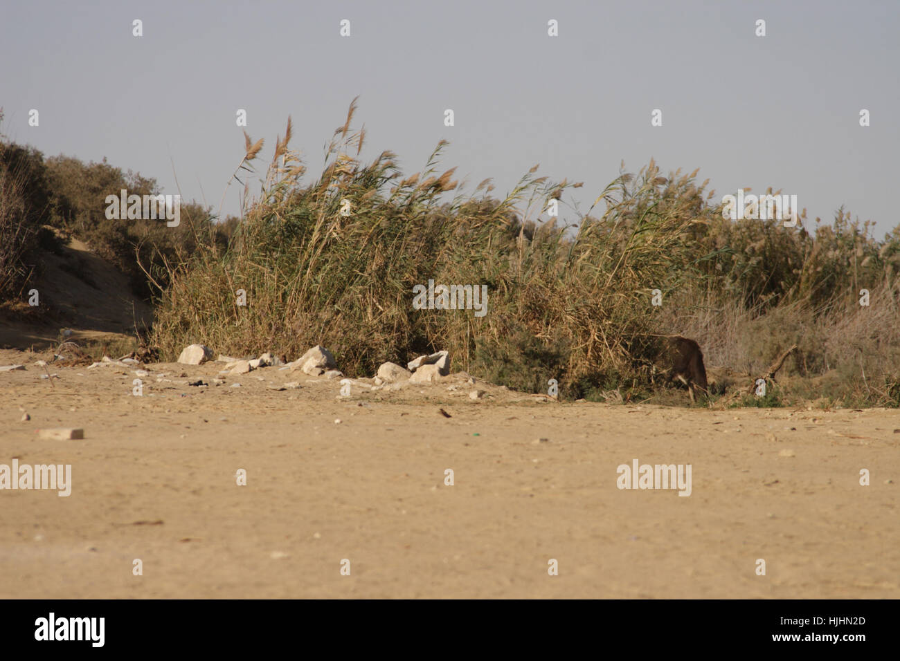 Rayan valley hi-res stock photography and images - Alamy