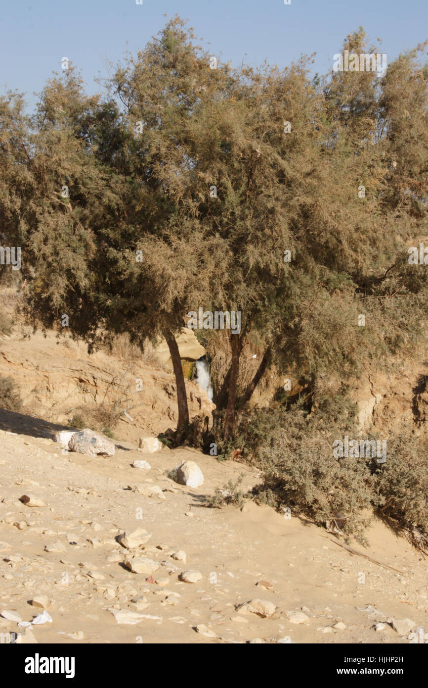 Rayan valley hi-res stock photography and images - Alamy