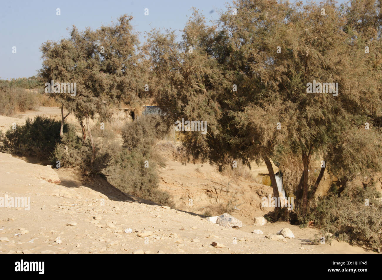 Rayan valley hi-res stock photography and images - Alamy