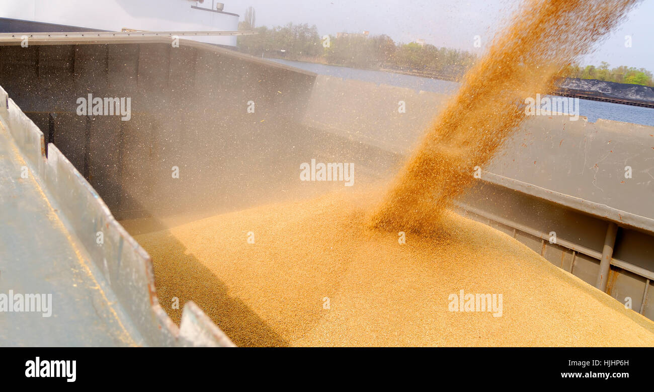 dust, agriculture, farming, grain, barley, cereal, loading, industrial ...