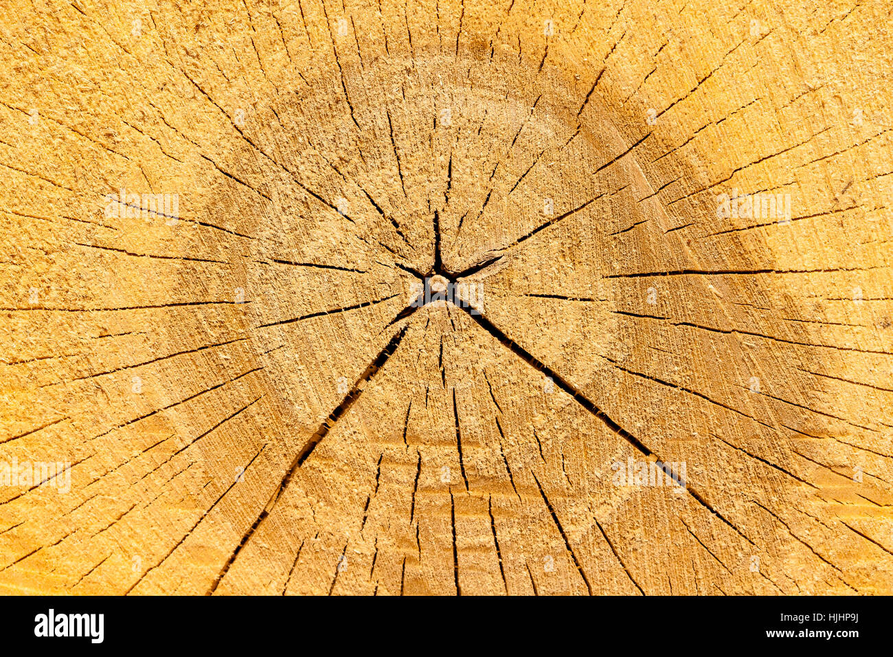 furniture, wood, rough, boards, grained, wood grain, furniture, wood ...