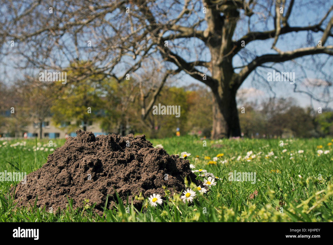 Earthwork hi-res stock photography and images - Alamy