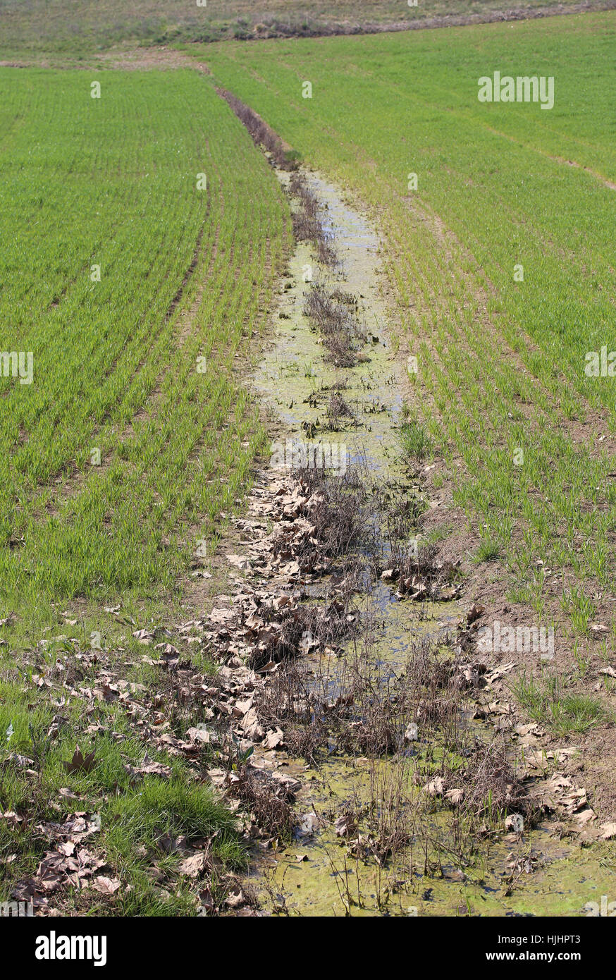ditch full of water fields because the ground does not absorb more ...
