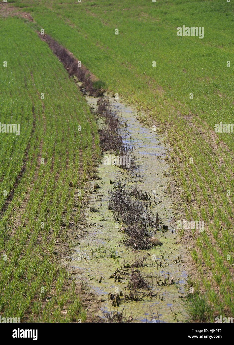 Trench full of water hi-res stock photography and images - Alamy