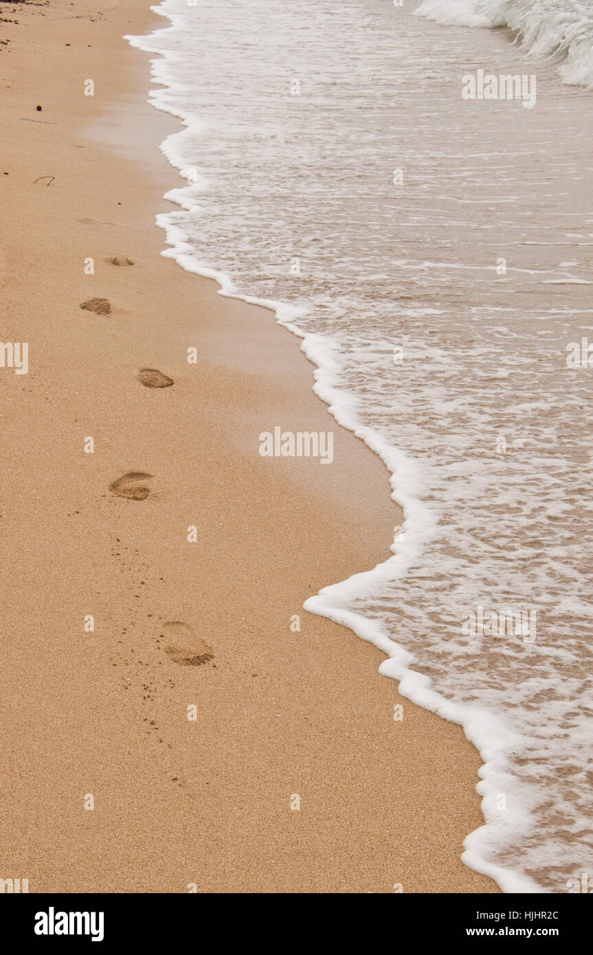 walk, go, going, walking, brown, brownish, brunette, human, human being ...