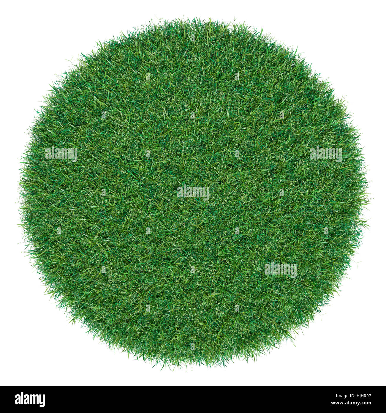 Piece of round shape grass isolated as background. Top view. 3D ...