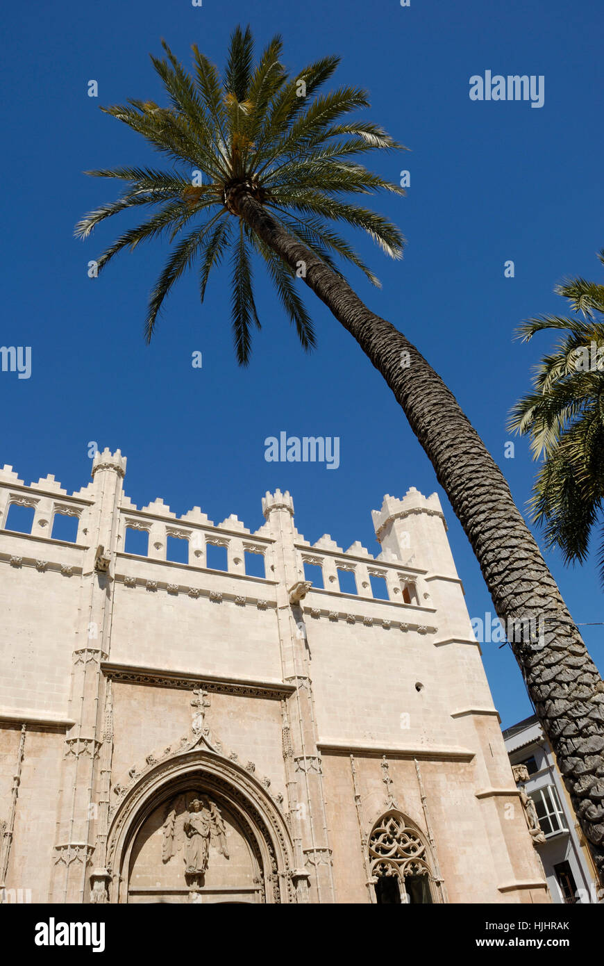 mallorca, spain, palm tree, facade, gothic, blue, shine, shines, bright ...