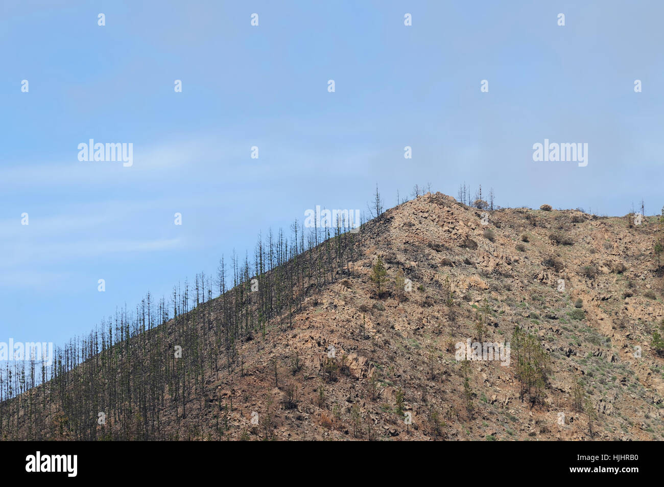 canary islands, volcanoes, teneriffa, volcanic, mountain, scenery ...