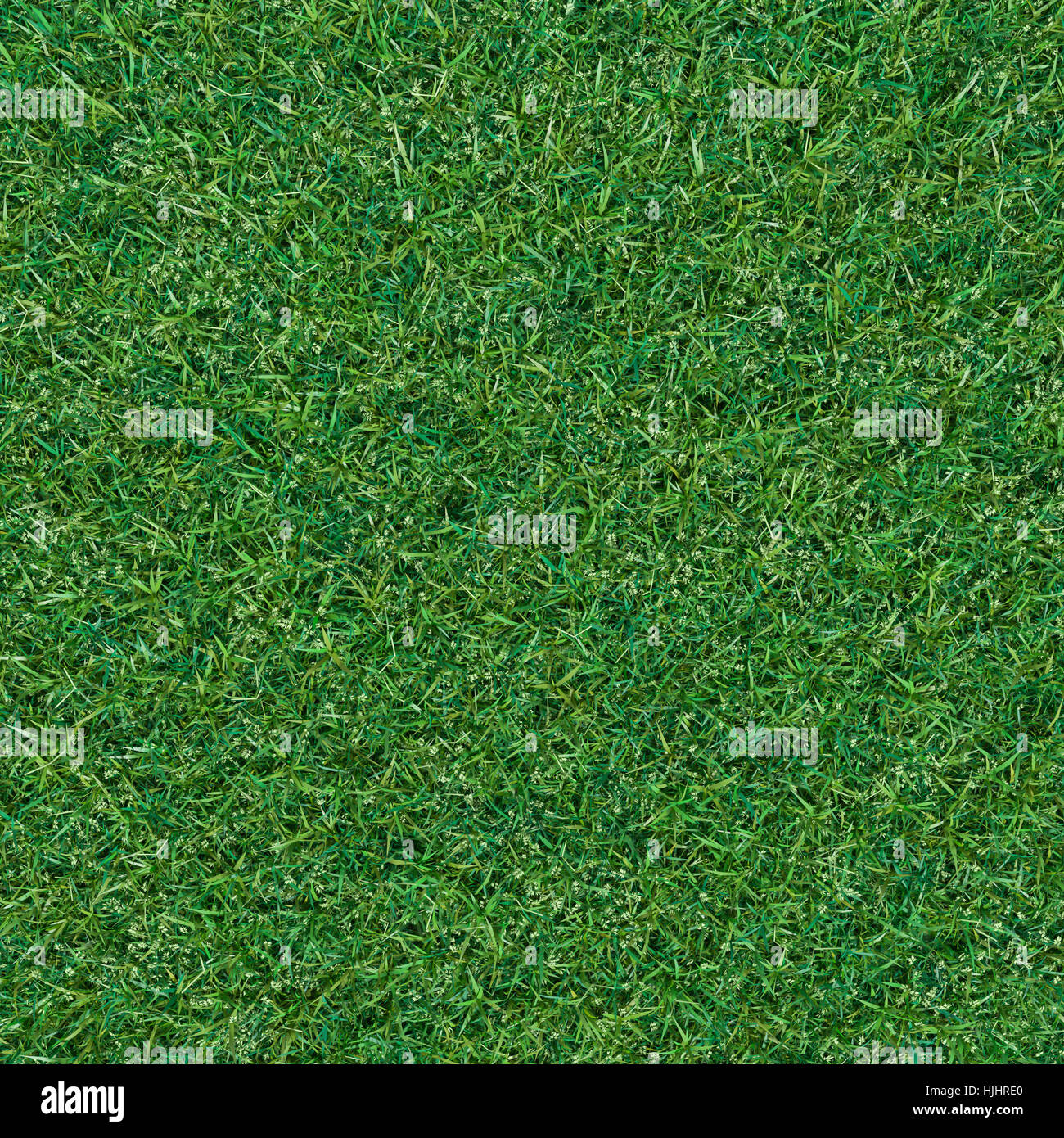 Green grass background texture. 3D Illustration. Nature backdrop Stock Photo - Alamy