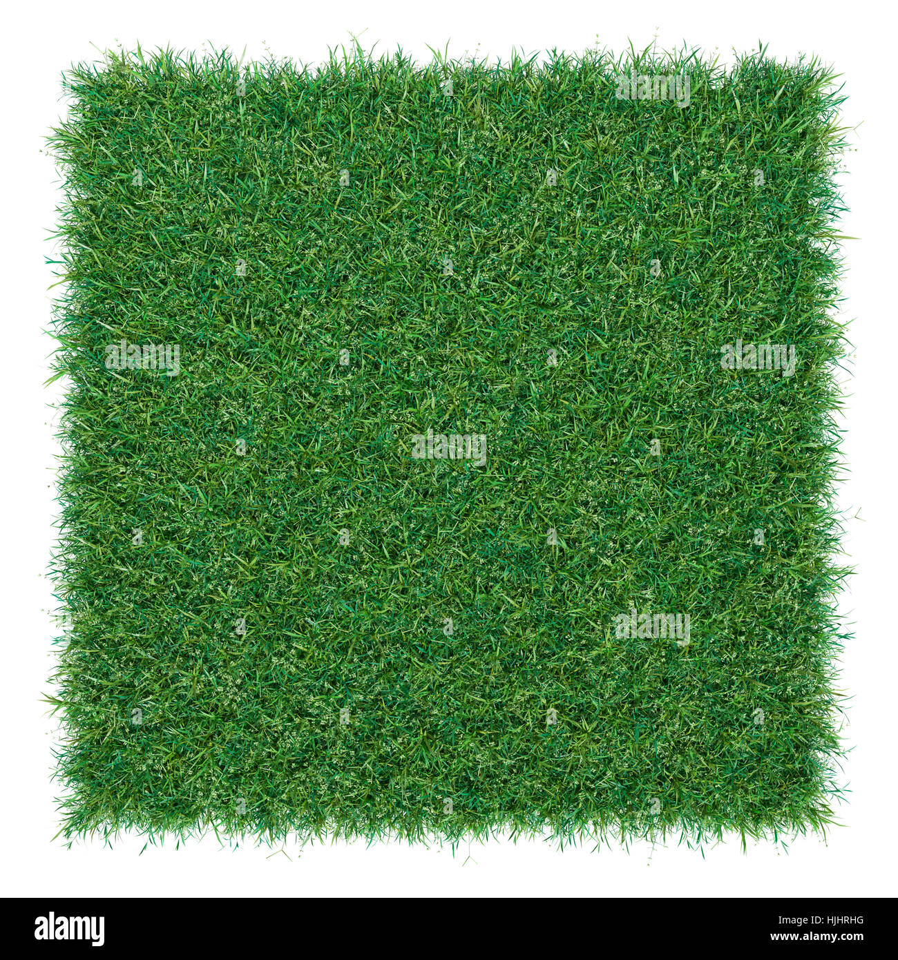 Piece of rectangle shape grass isolated as background. Top view. 3D ...