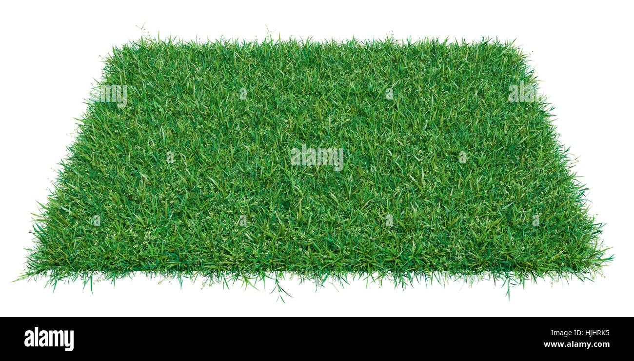 Mock-up rectangle piece of green grass. Empty space for your product or ...
