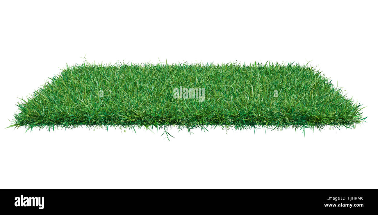 Rectangle plane covered with green grass. 3D rendering, isolated on ...