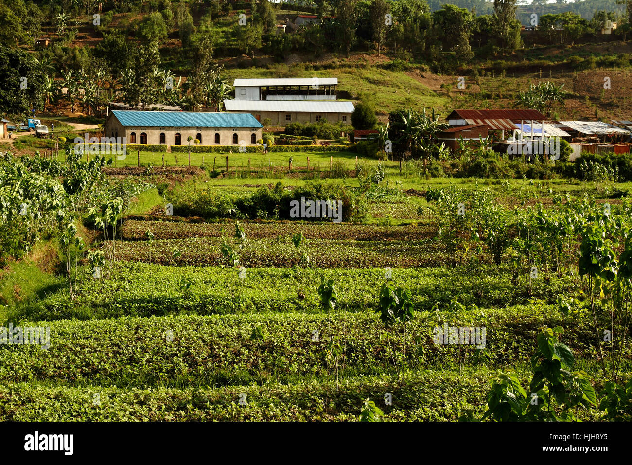 Farming Villages In Africa