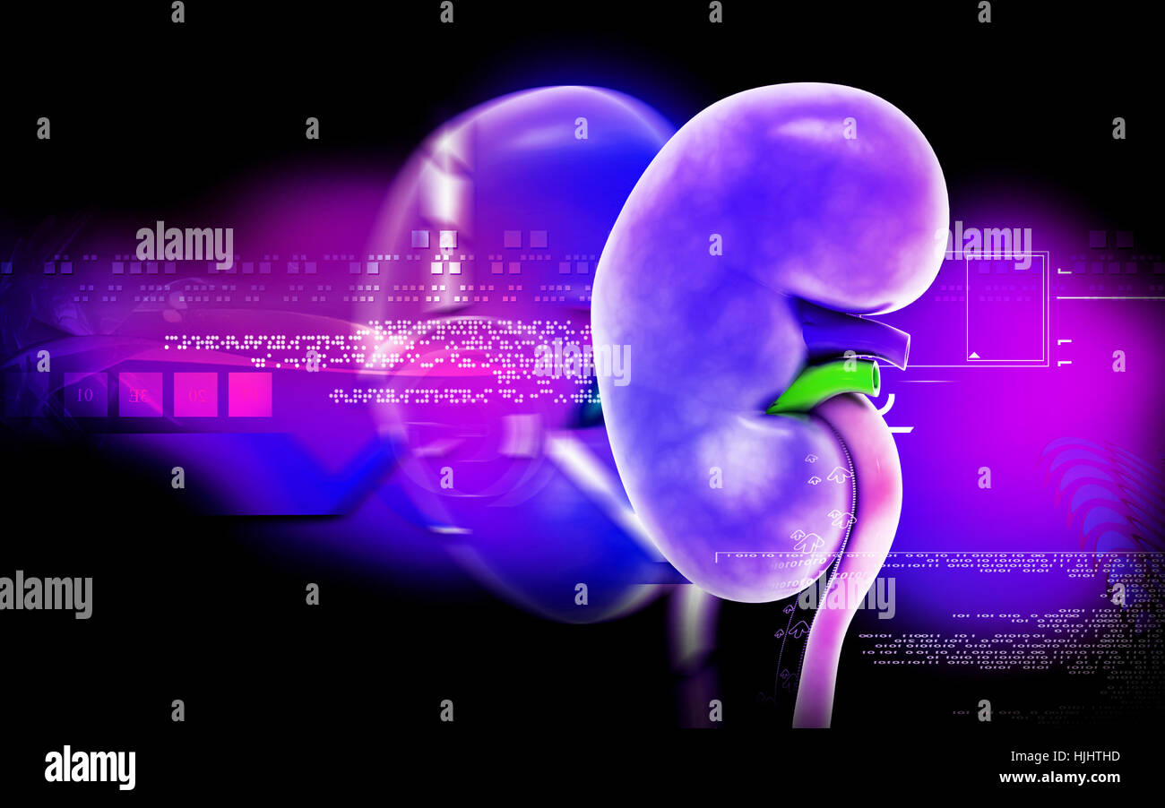 object, education, health, medicinally, medical, graphics, colour ...