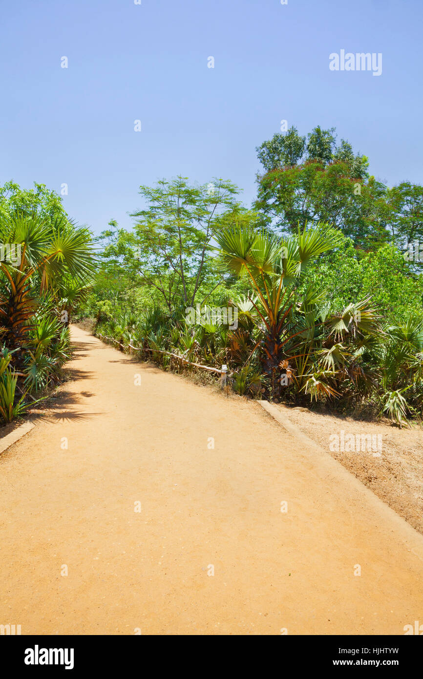 tree, trees, garden, luxury, expenditure, pomp, affluence, magnificence ...