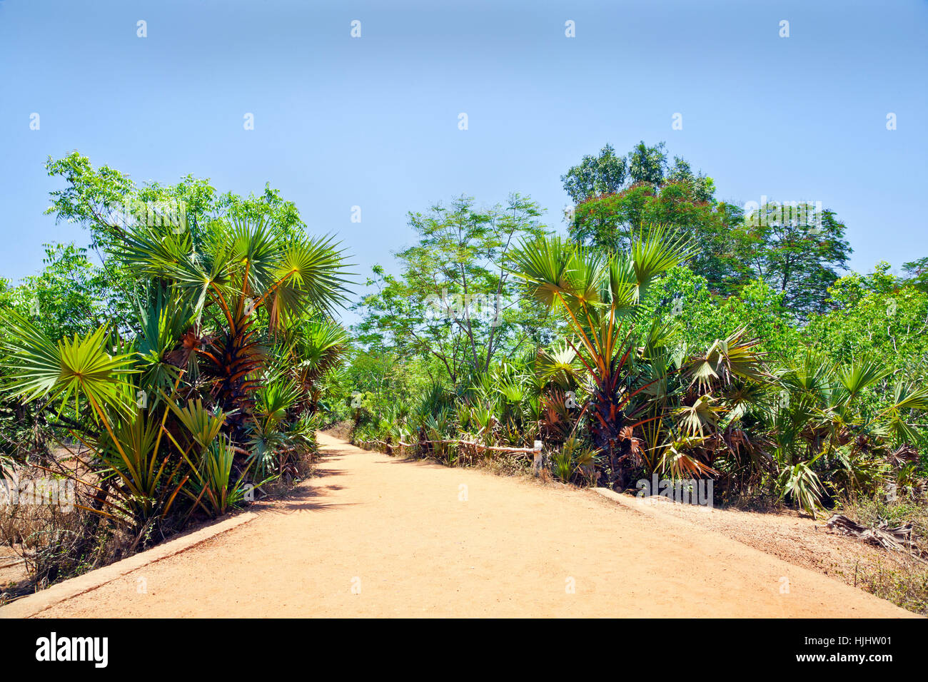 Auditory pathway hi-res stock photography and images - Alamy