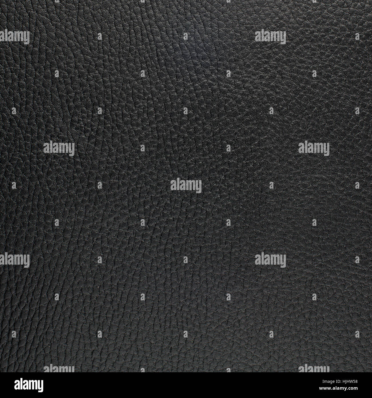 fashion, furniture, colour, space, animal, crocodile, skin, black ...