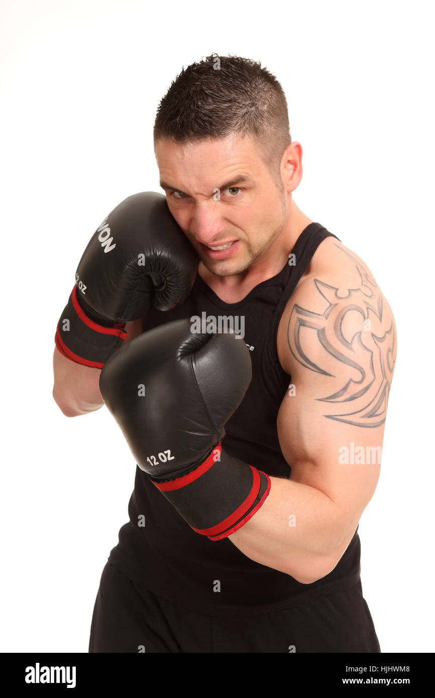 sport, sports, male, masculine, hook, boxer, boxing gloves, boxing, man ...