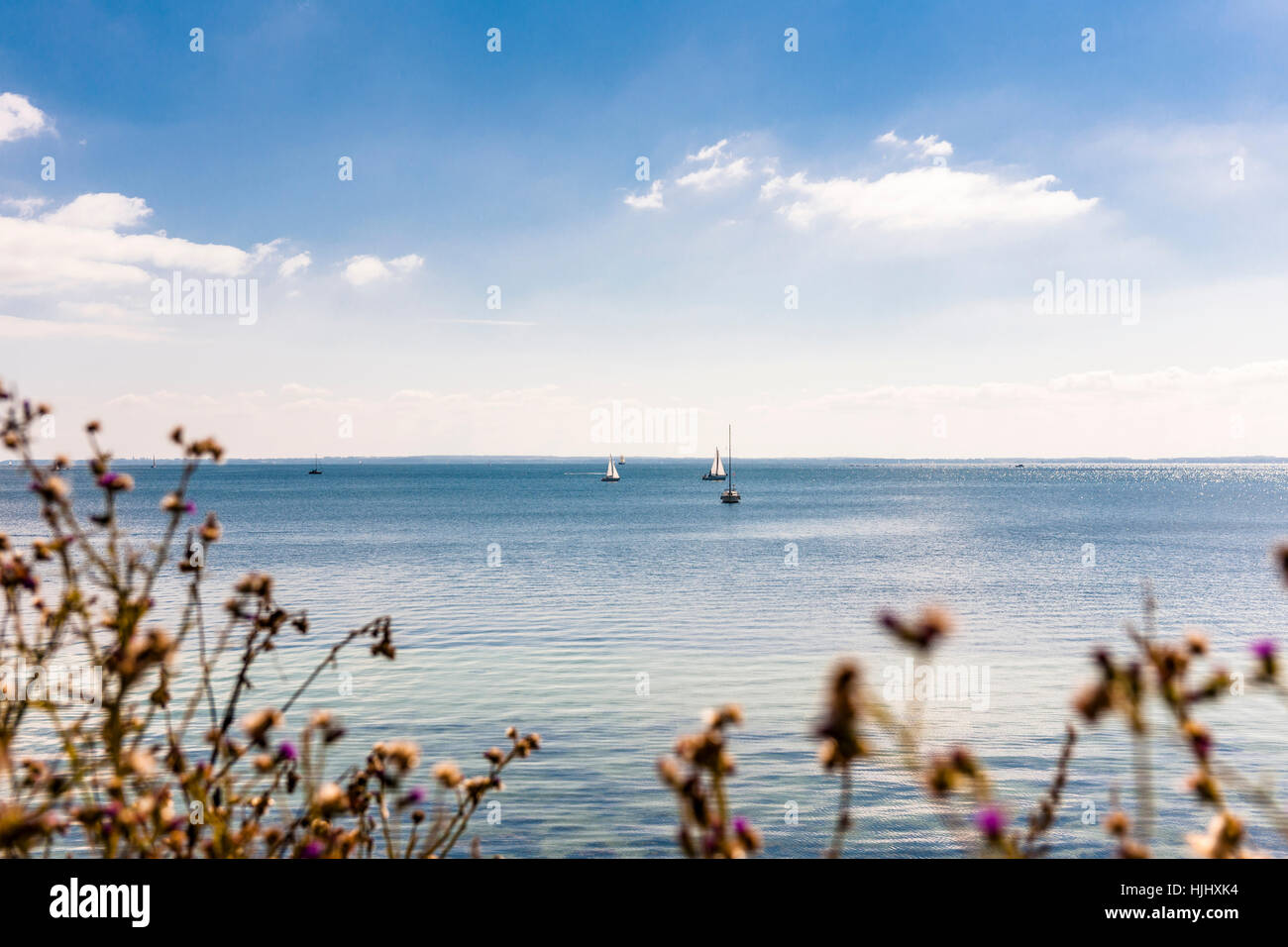 Germany, sailing boats on Baltic Sea Stock Photo - Alamy