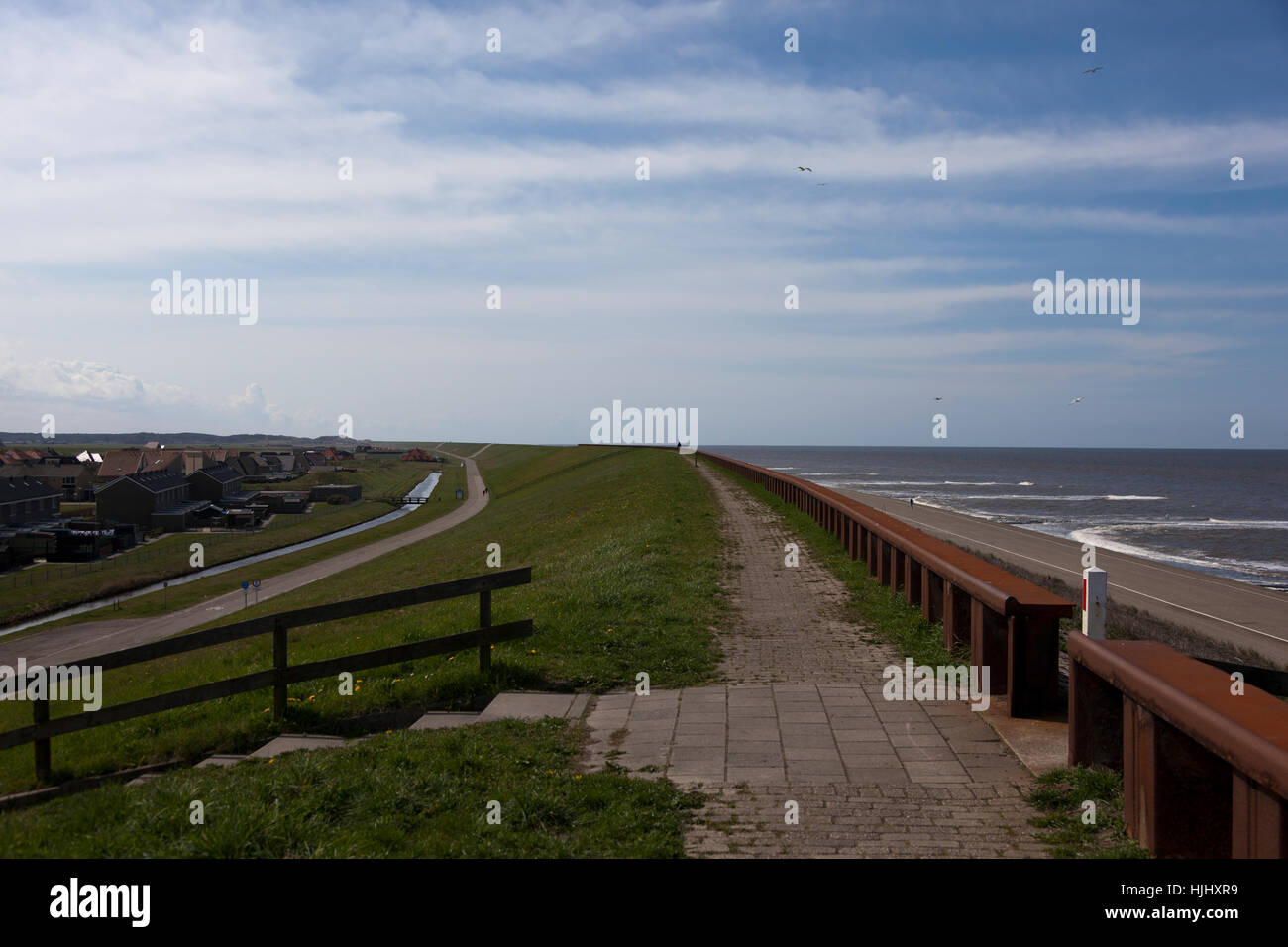 horizon, strong, beach, seaside, the beach, seashore, summer, summerly ...