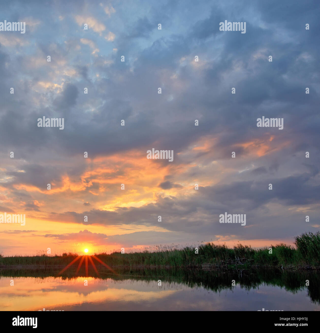 Isolated bird on sunset hi-res stock photography and images - Alamy