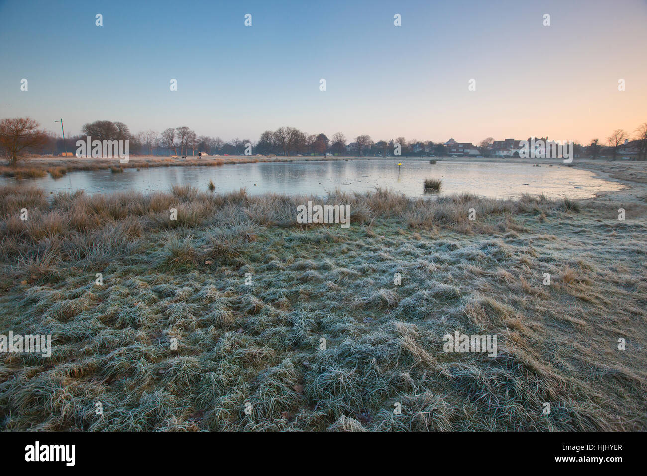 Pond London Wimbledon Common High Resolution Stock Photography and ...