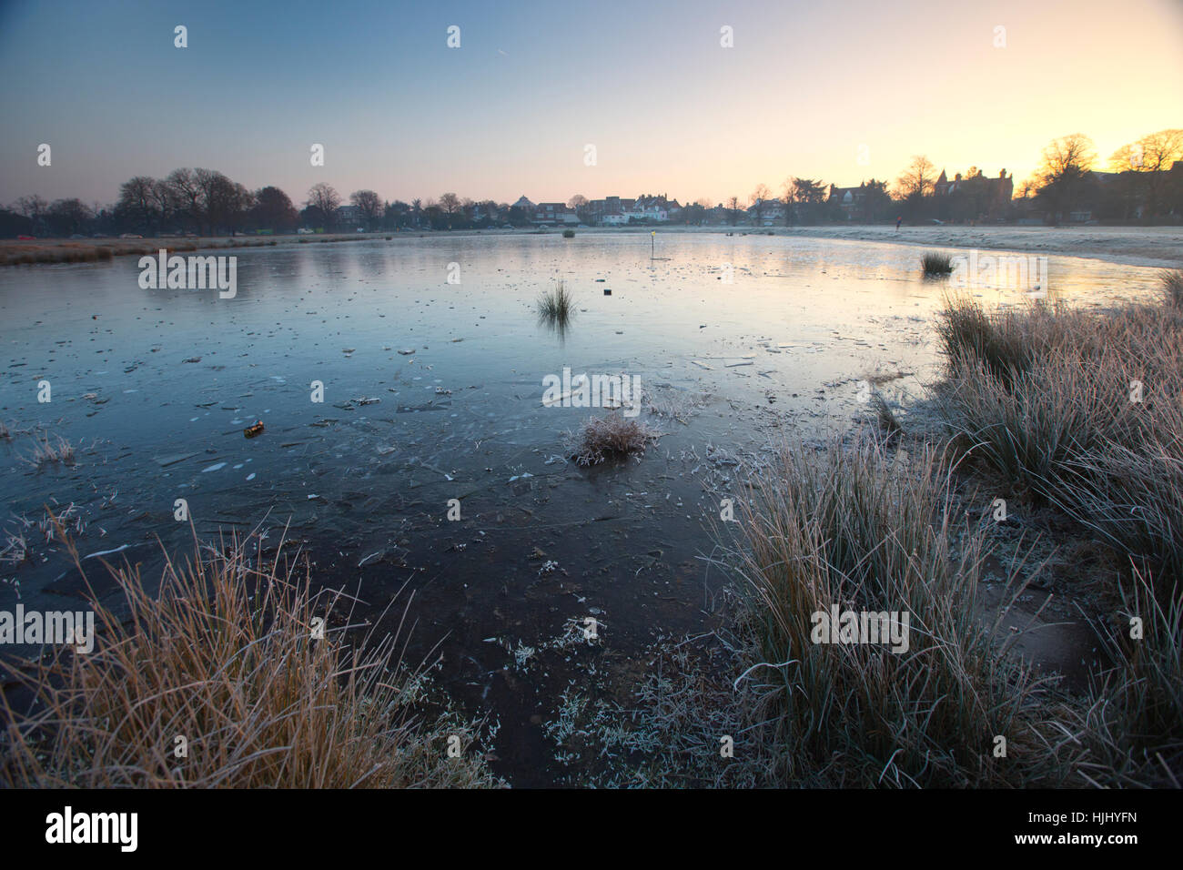 Early morning freezing temperatures at Rushmore Pond, Wimbledon Common ...