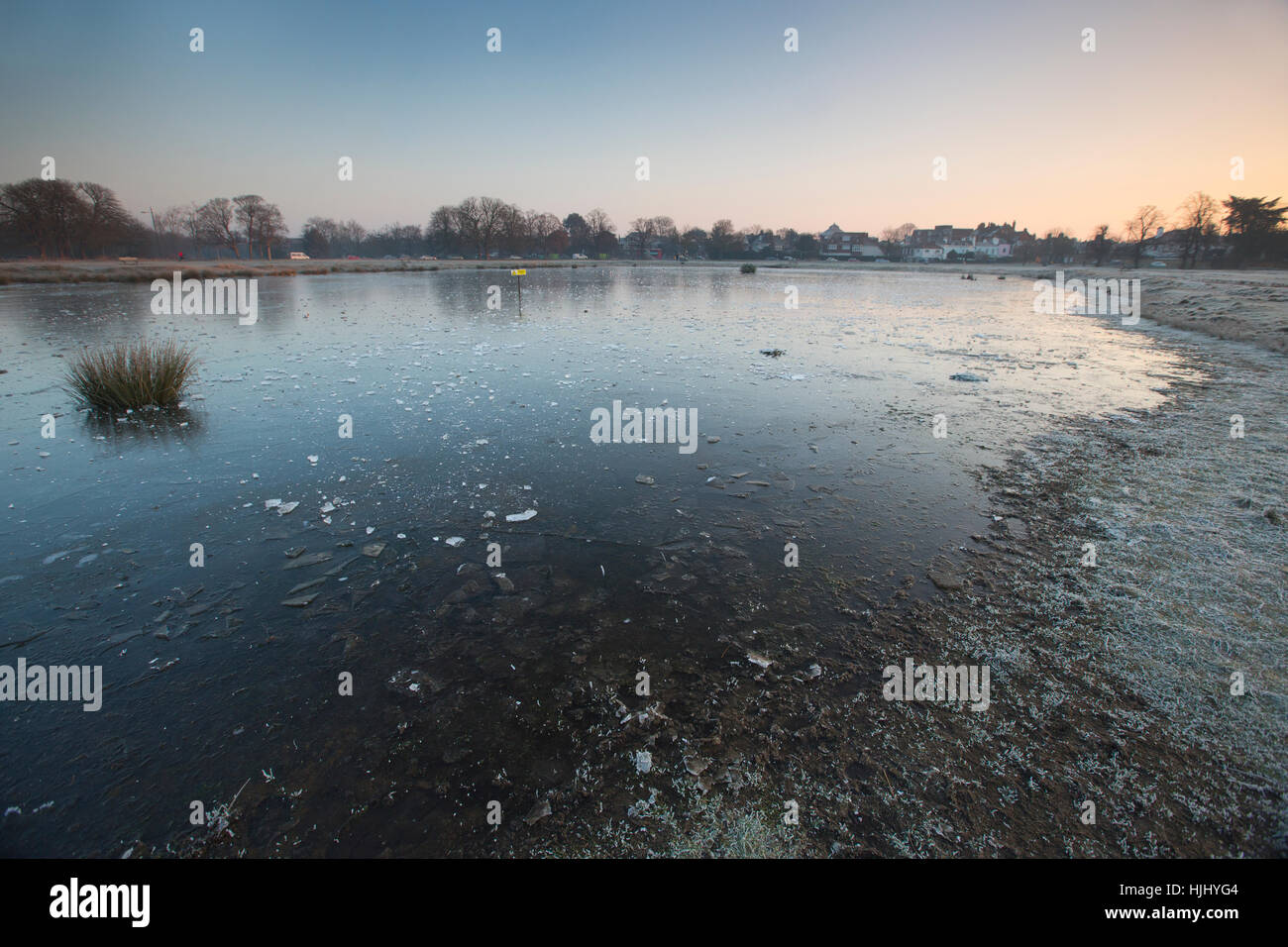 Rushmore common wimbledon hi-res stock photography and images - Alamy