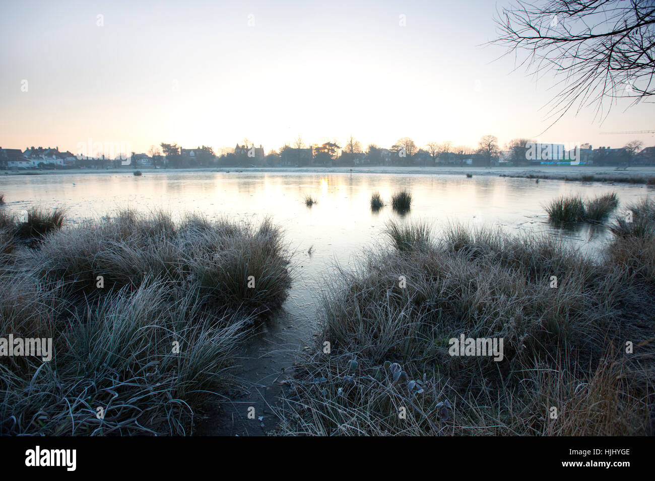 Early morning freezing temperatures at Rushmore Pond, Wimbledon Common ...