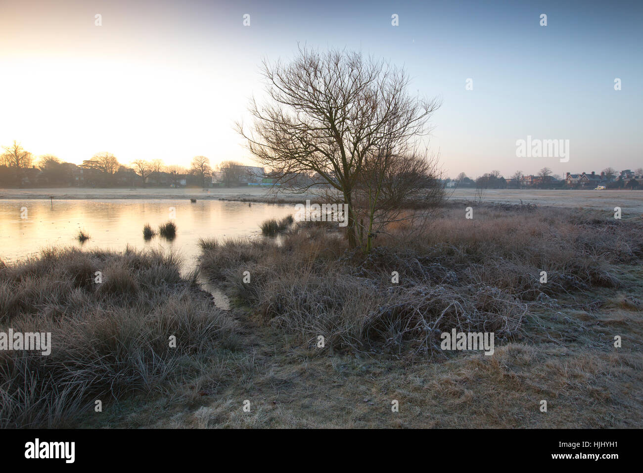 Pond london wimbledon common hi-res stock photography and images - Alamy