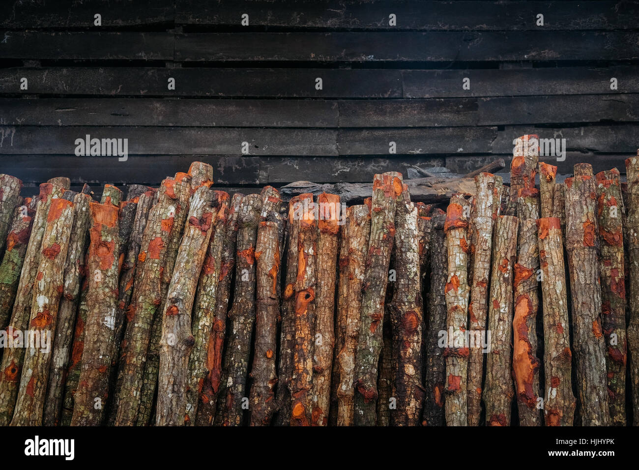 Pile mangrove wood hi-res stock photography and images - Alamy