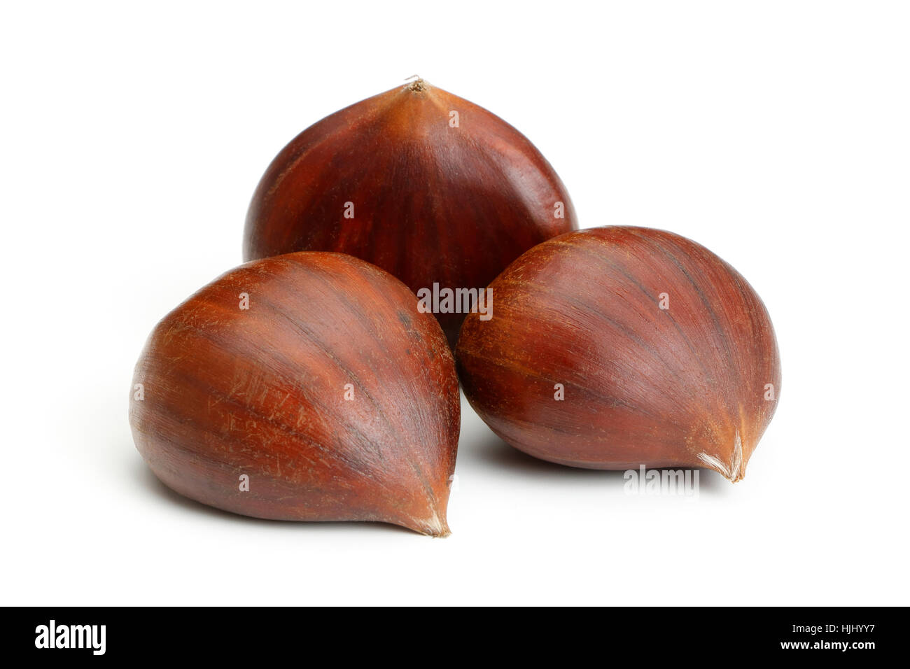 Seed dried pod husk hi-res stock photography and images - Alamy