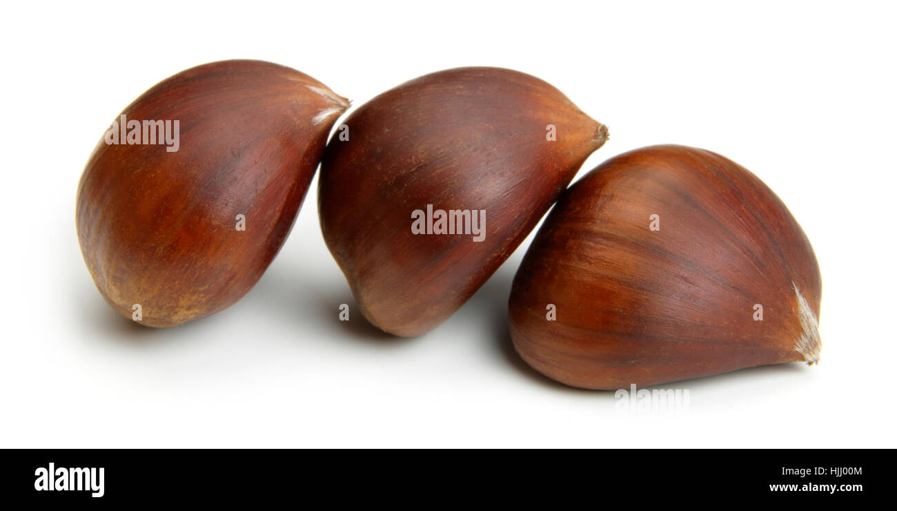 Chestnuts isolated on white background Stock Photo - Alamy