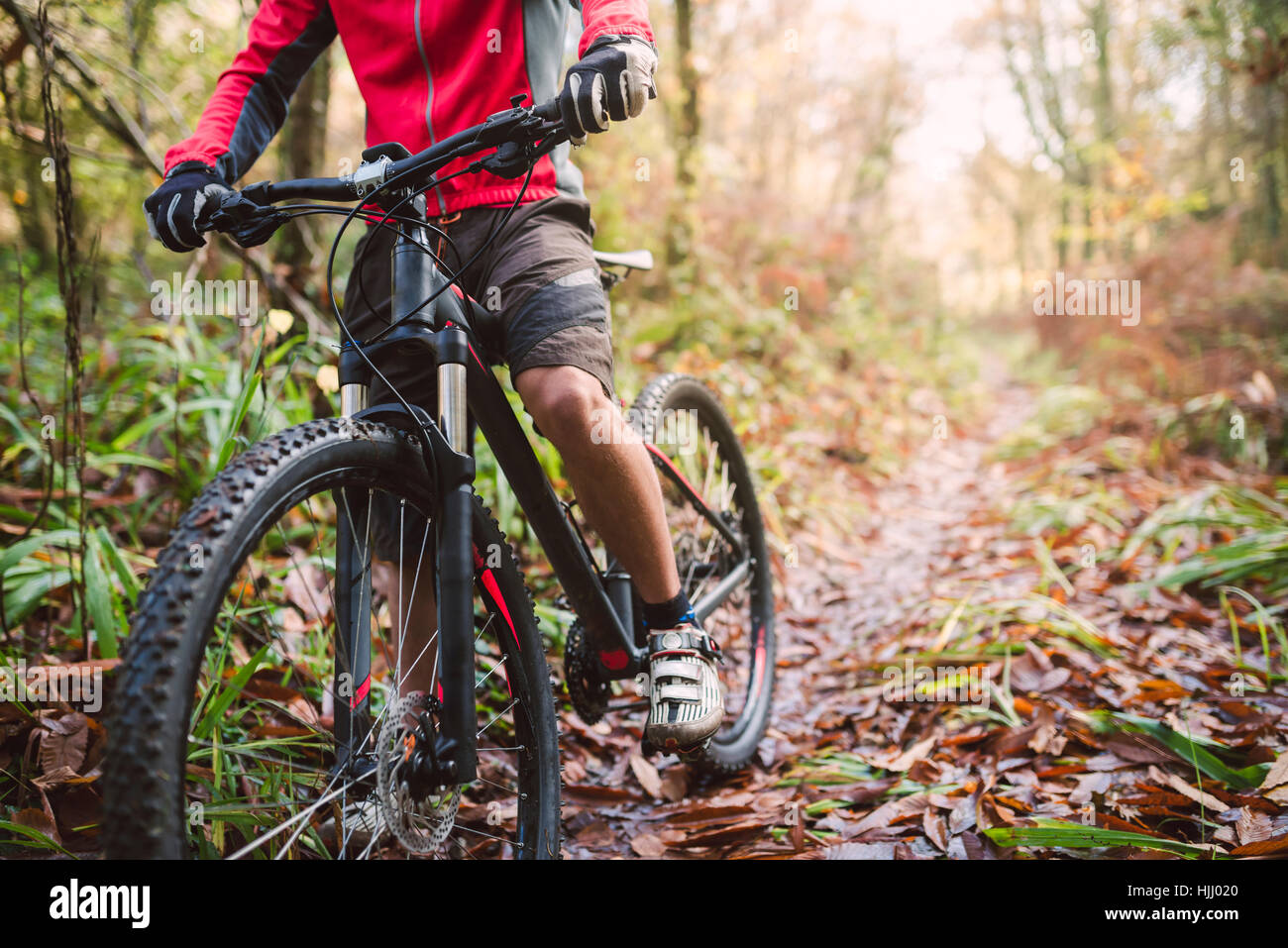 Young man mountain biking in forest Stock Photo - Alamy