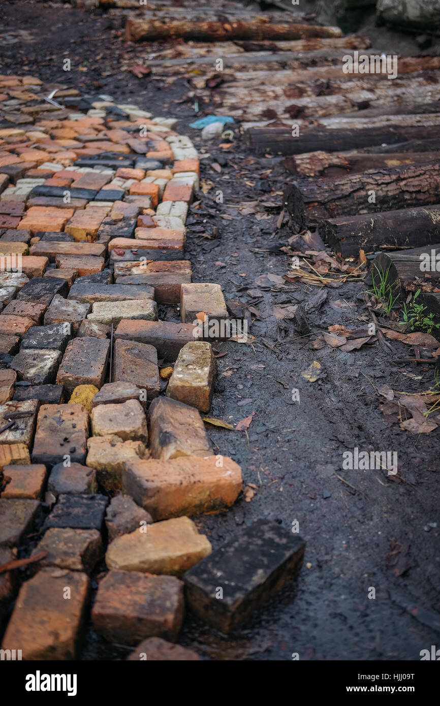 Environment path pathway hi-res stock photography and images - Alamy