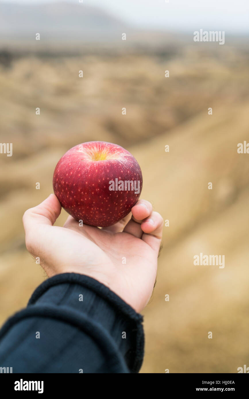 Man's hand holding a red apple Stock Photo - Alamy