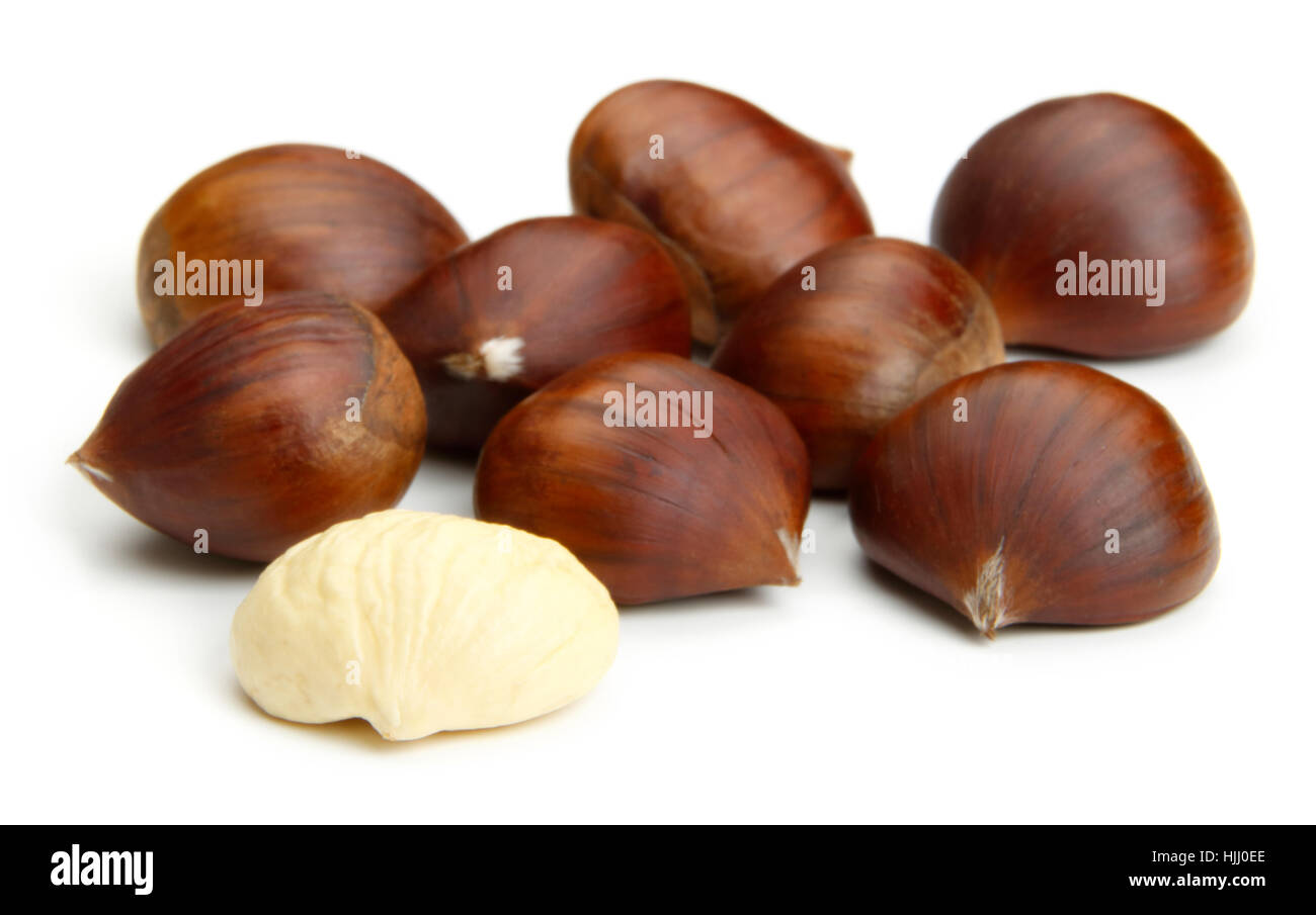 Seed dried pod husk hi-res stock photography and images - Alamy