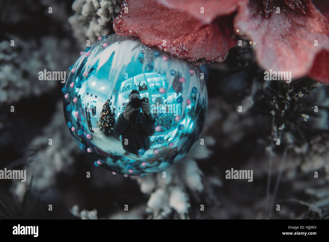 Christmas tree branch with toys Stock Photo - Alamy