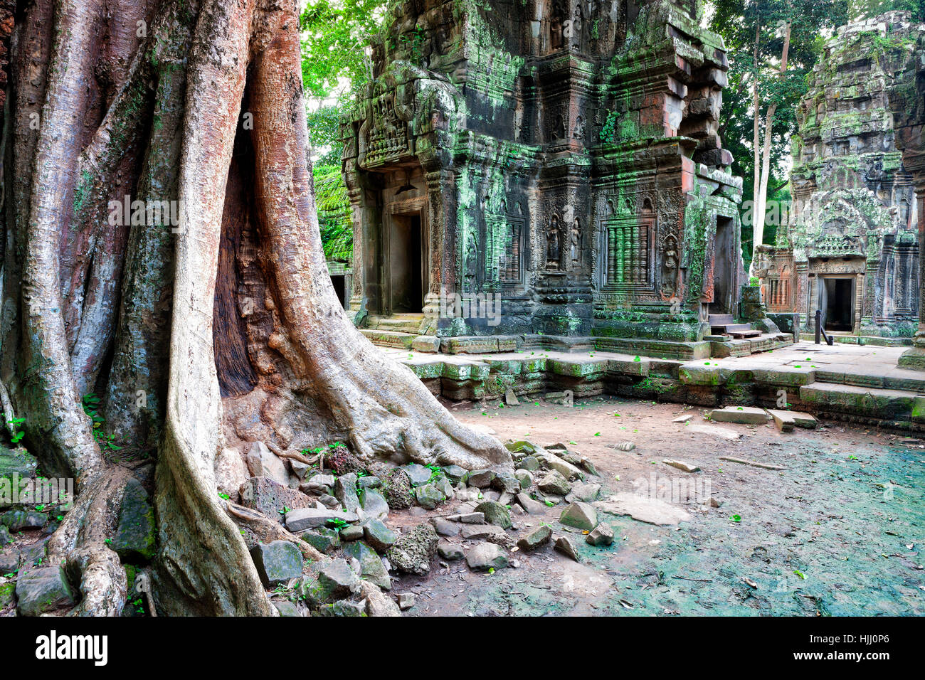 Cambodia, Siem Reap, Angkor, Ta Prohm Temple Stock Photo - Alamy