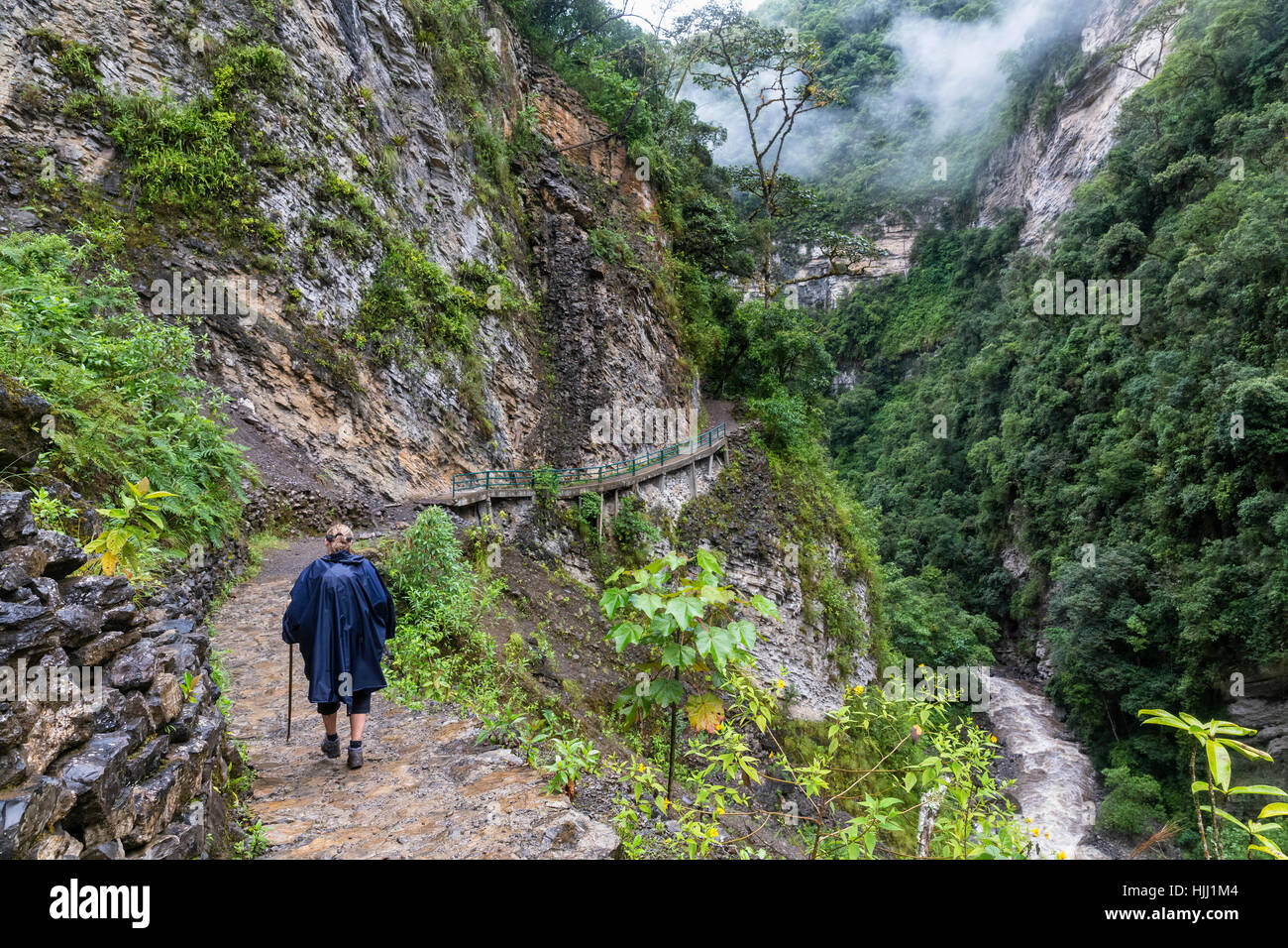 Peru, Amazonas Region, Cocachimba, tourist hiking towards Gocta ...