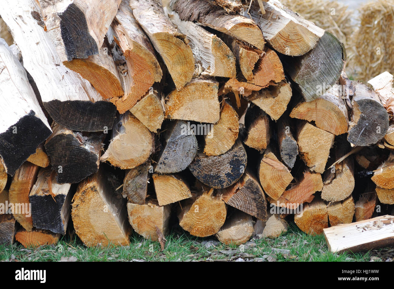 wood, energy, power, electricity, electric power, raw material ...