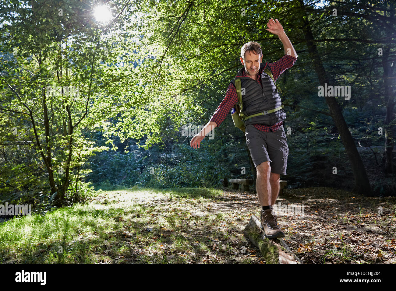 Hiker in forest balancing on tree trunk Stock Photo - Alamy