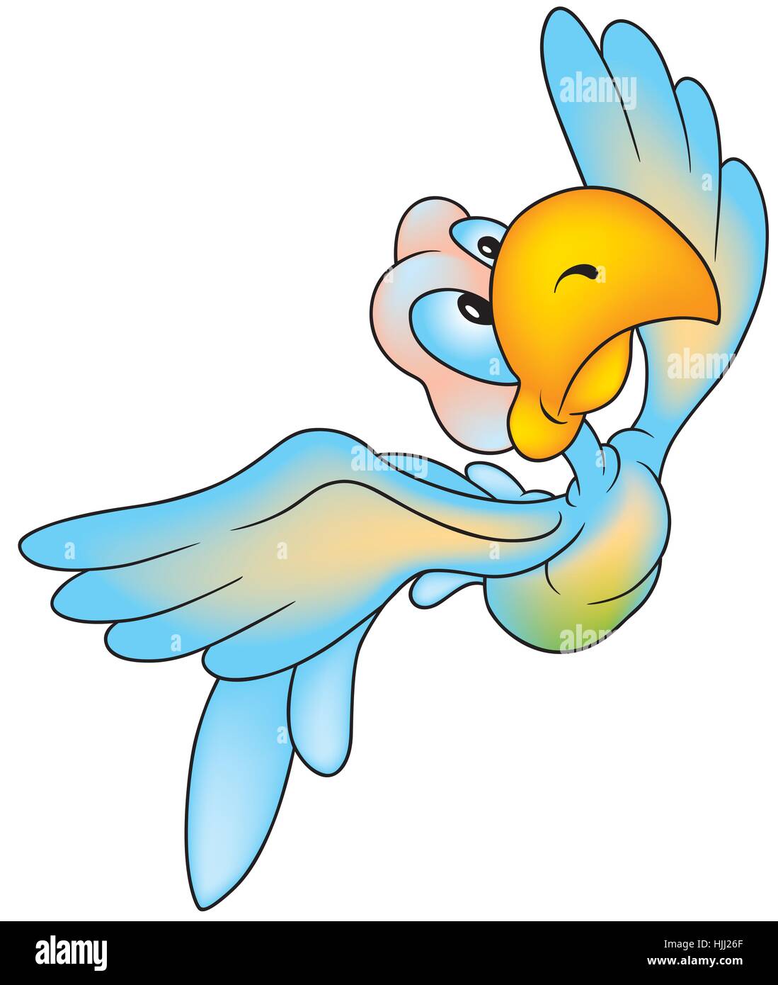 Many colored parrot hi-res stock photography and images - Alamy