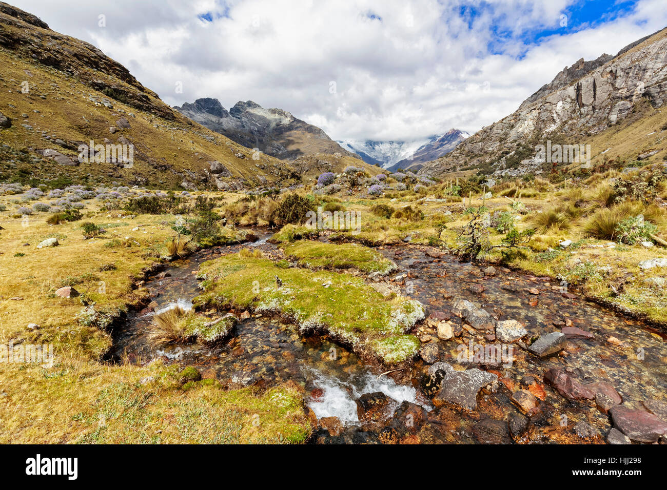 Peru, Andes, Cordillera Blanca, Huascaran National Park, brook from ...