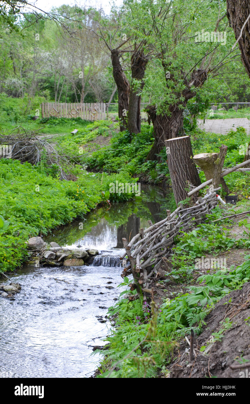 A photo of small river in early spring landscape with yellow flowers ...