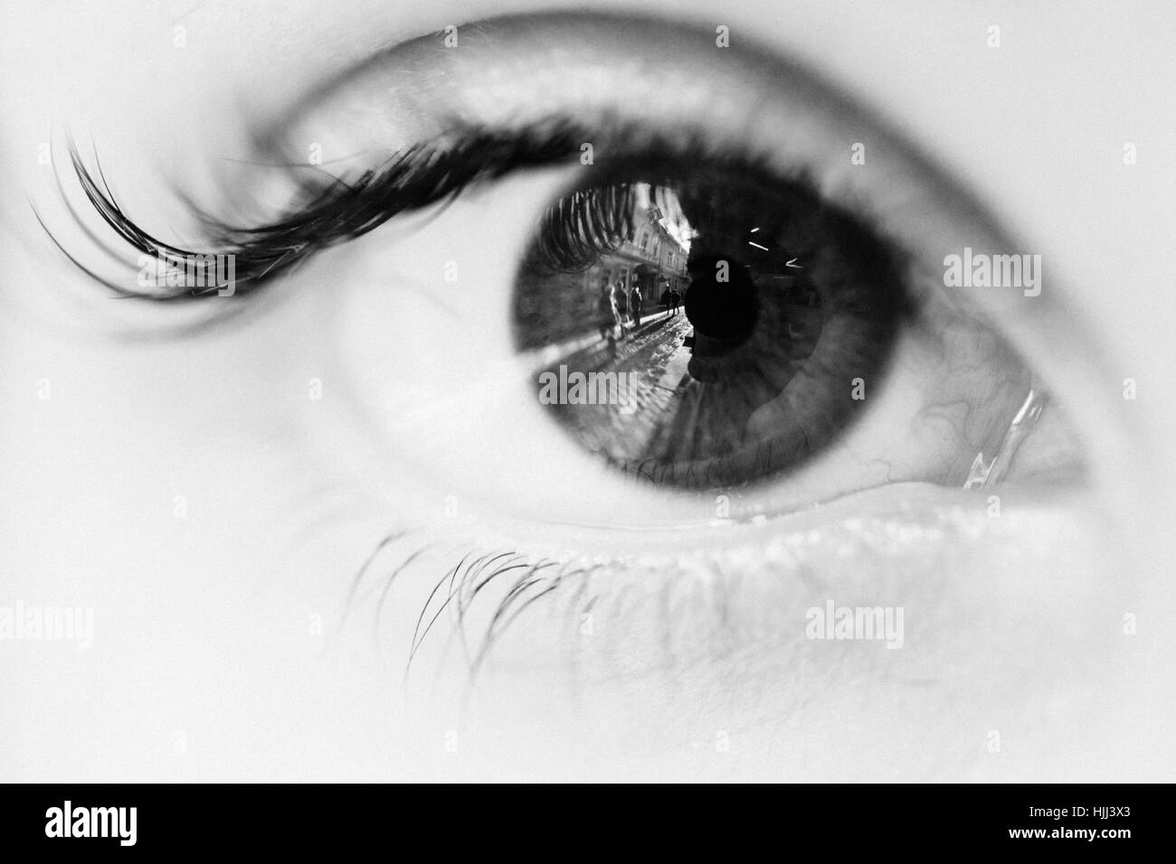 Eye Reflection Black And White