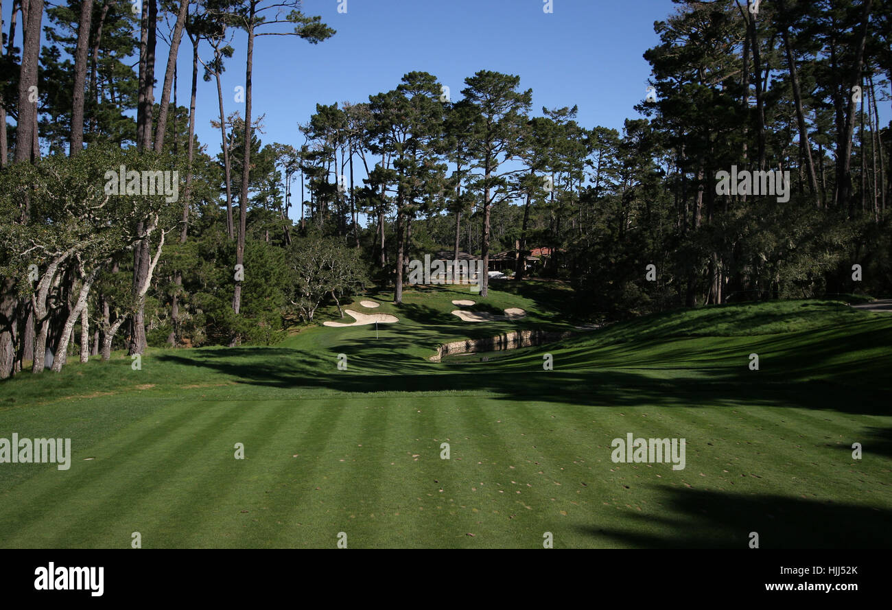 golf course with fairway and green Stock Photo - Alamy