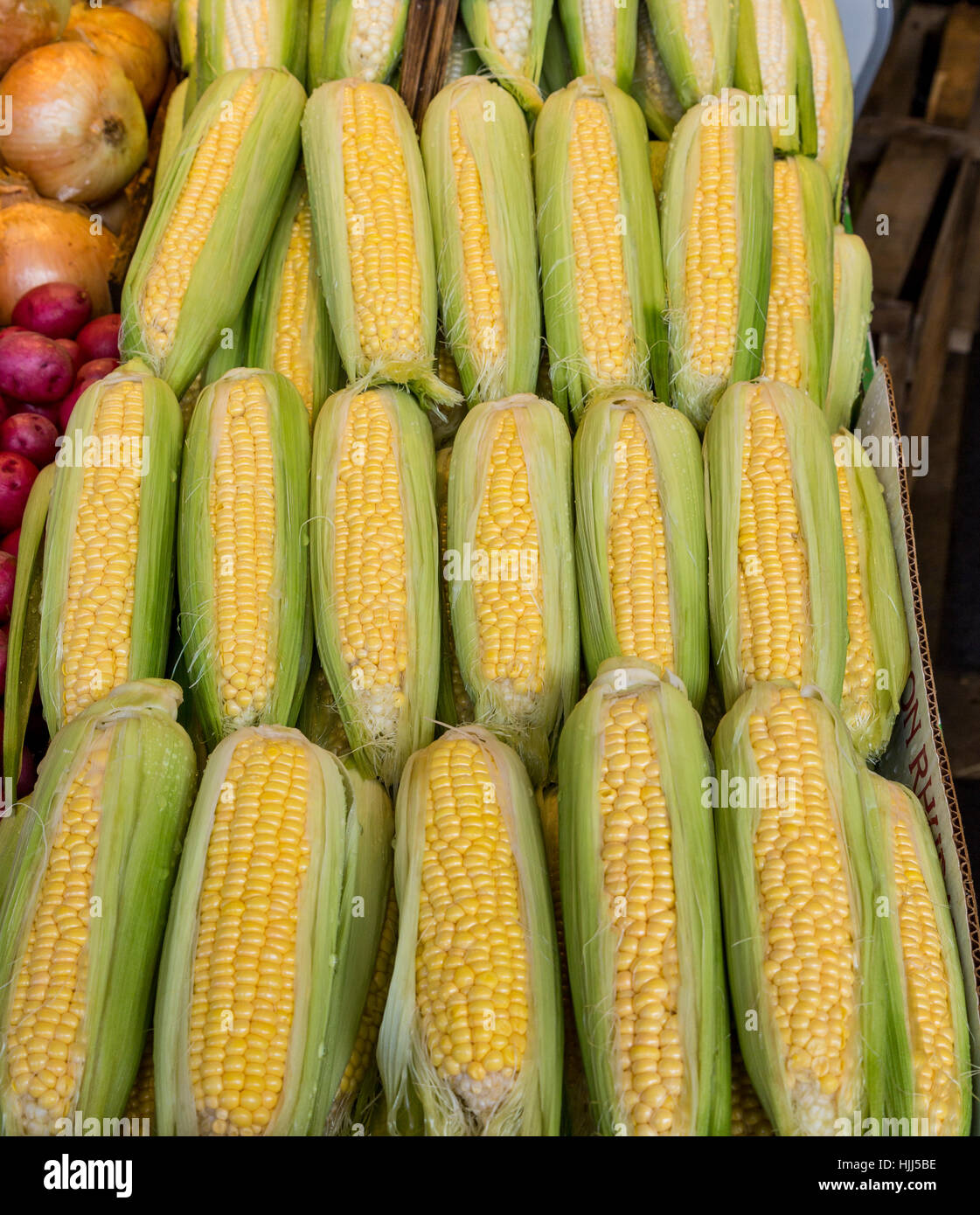 Fresh Yellow Corn in Market Stock Photo - Alamy