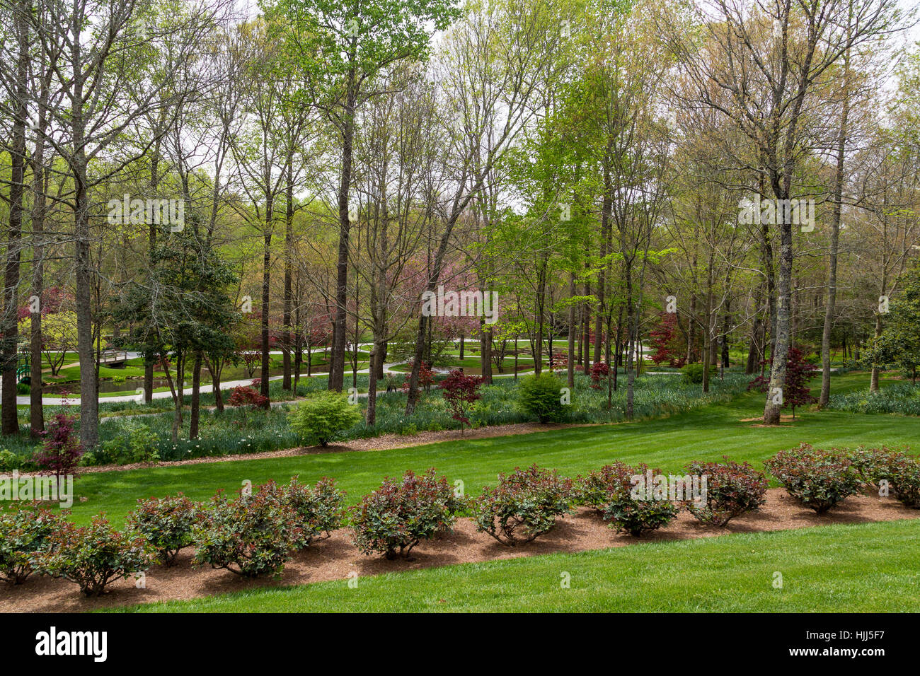 Rose bushes hi-res stock photography and images - Alamy