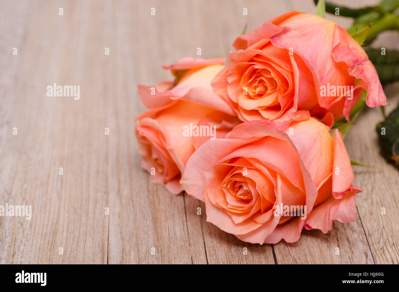 three orange roses on wood Stock Photo - Alamy